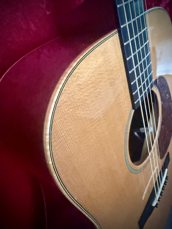 Huss & Dalton DM Custom and very rare B Bender Washburn (Forrest Lee ...