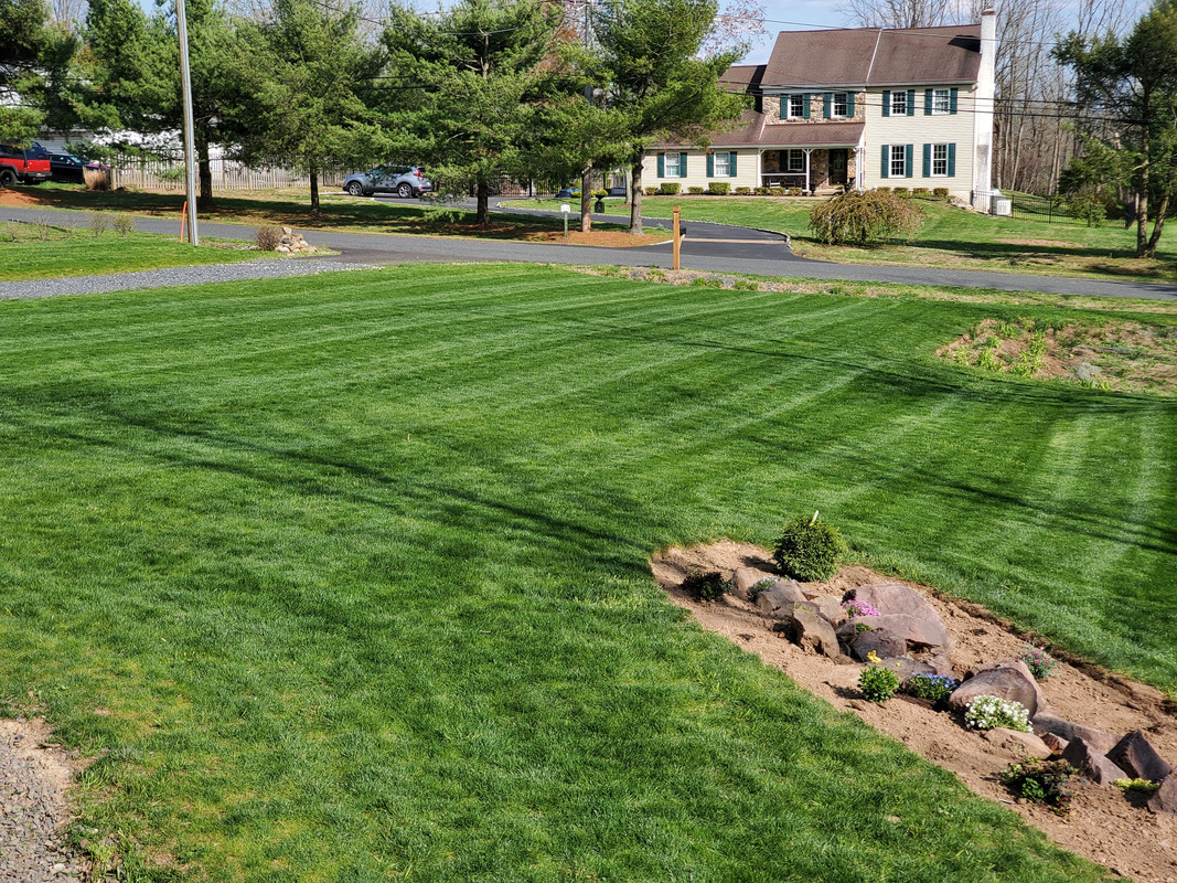 Let's see your lawn fail pics - heres mine | Lawn Care Forum