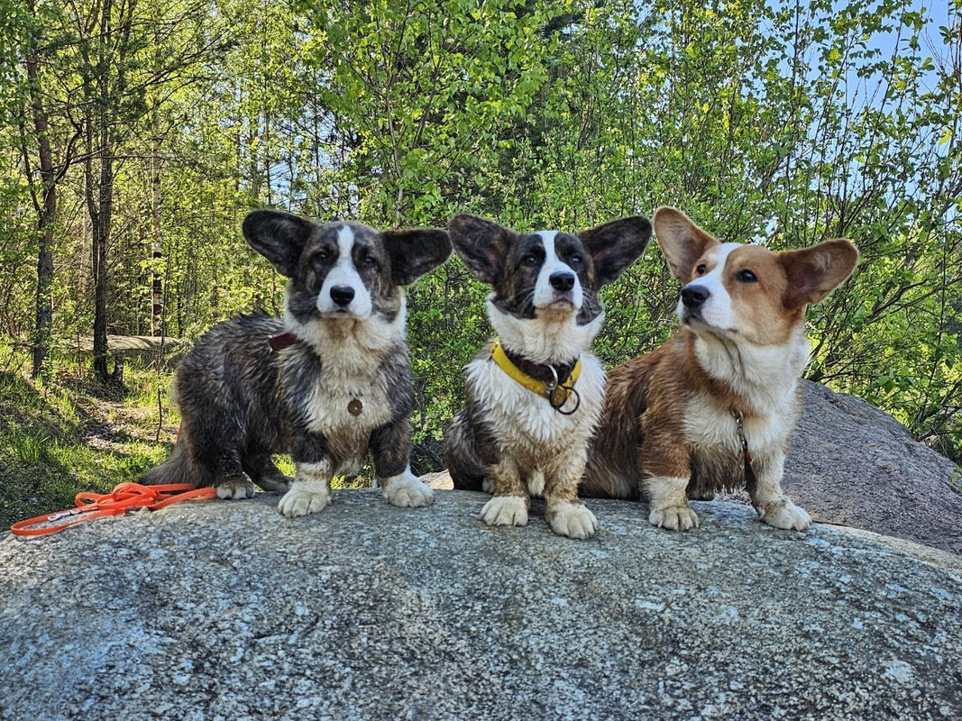 IMG 20240518 155058 292 — Postimages