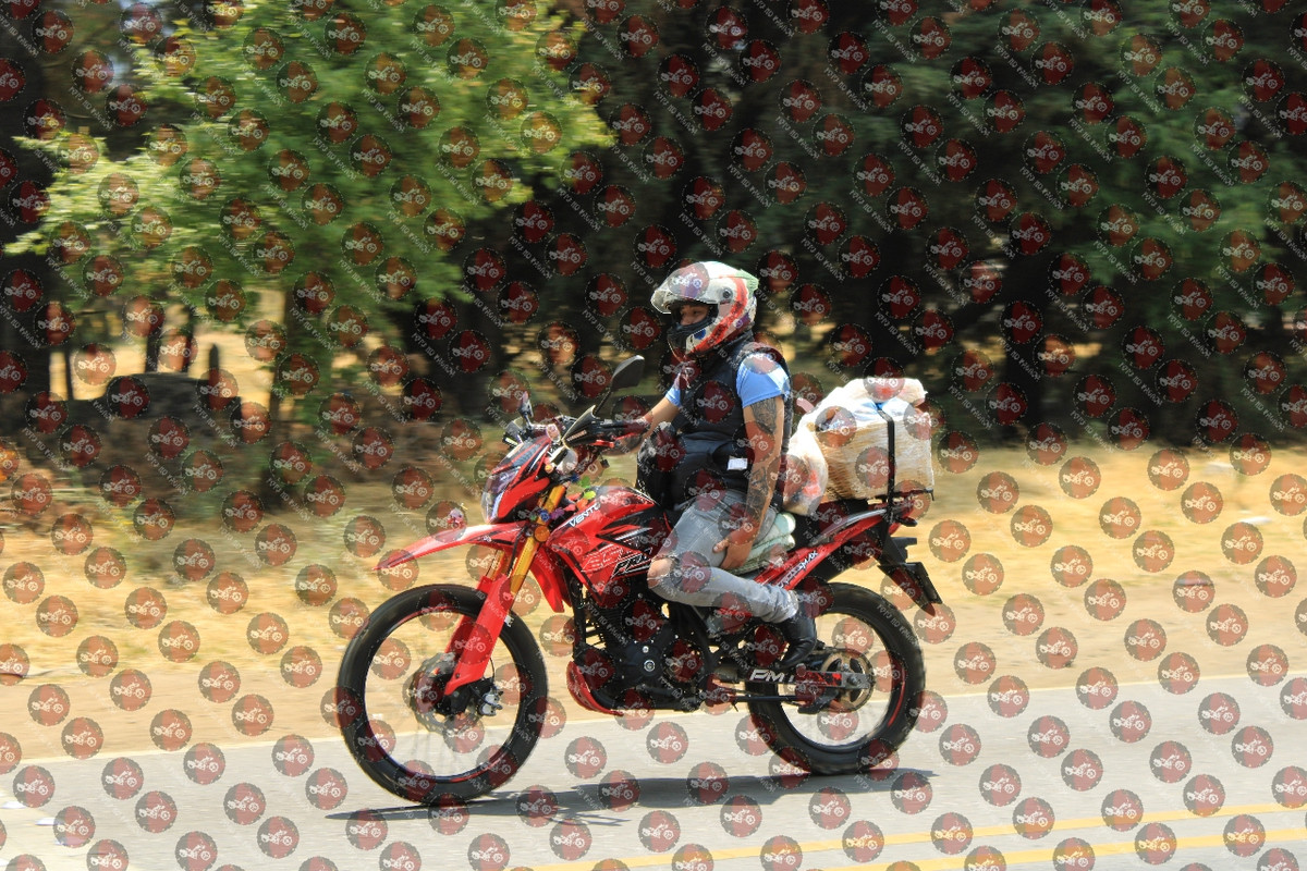 1711924545249 — Postimages