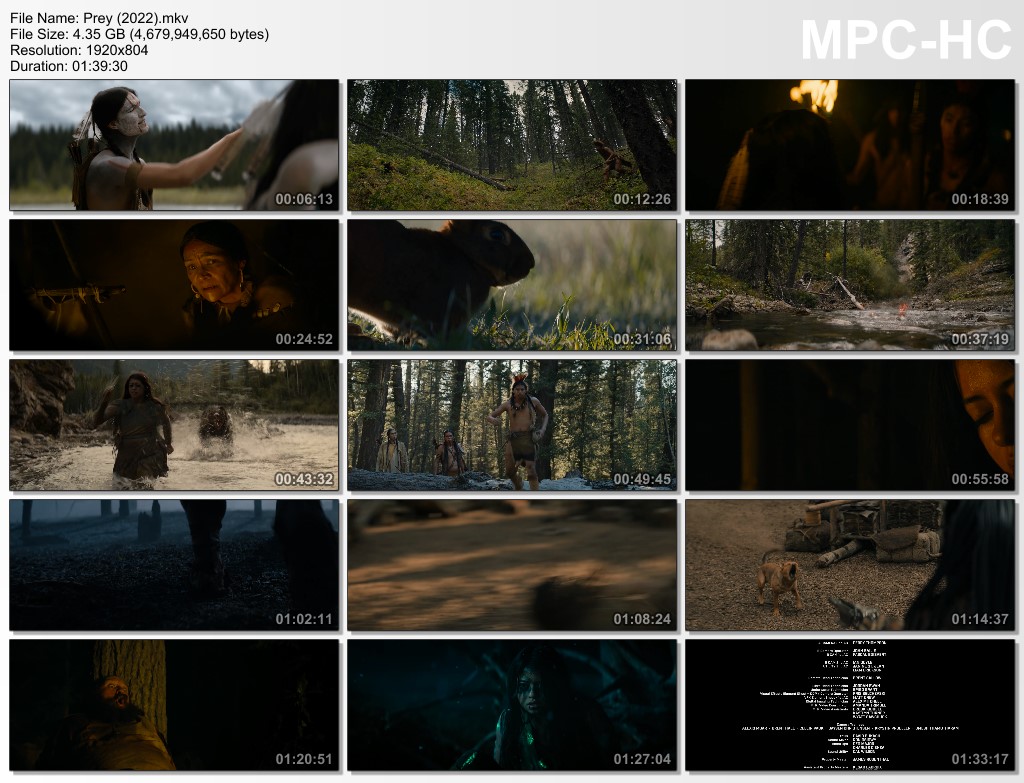 Prey 2022 — Postimages