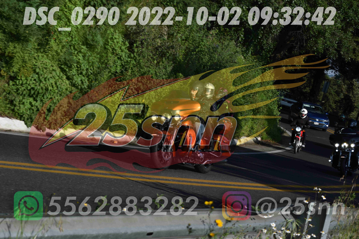 DSC 0290 — Postimages