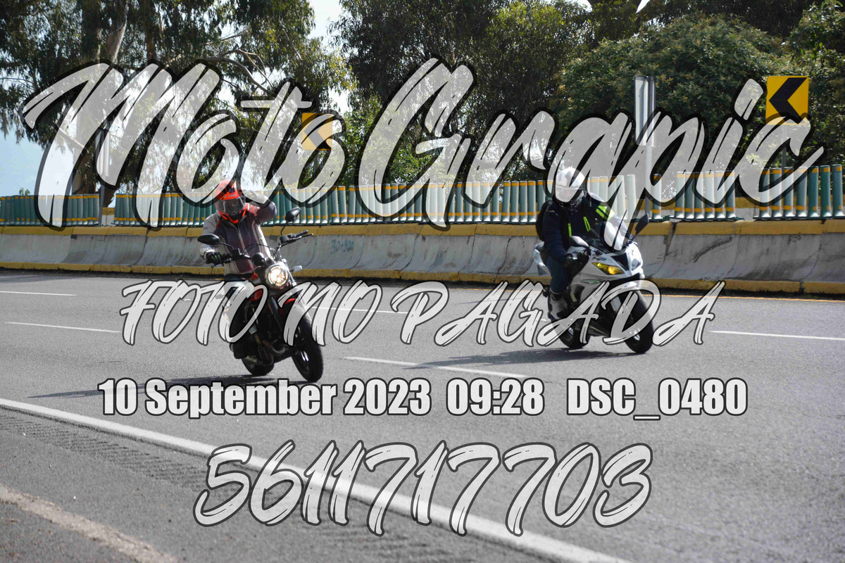 motgr DSC 0480 — Postimages