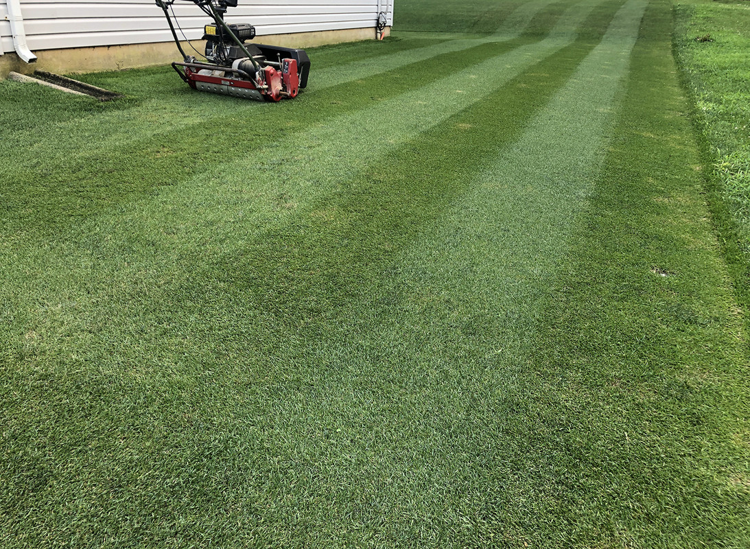 IMG 0978 — Postimages