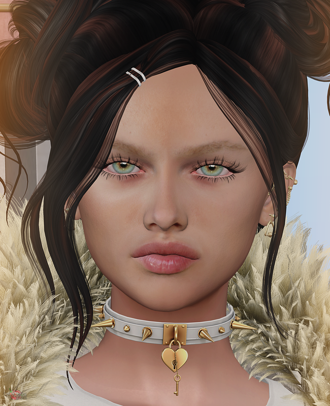 Snapshot 004 — Postimages