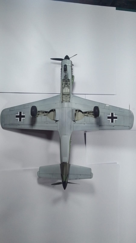 Dornier Do-335A-1 Pfeil Tamiya 1/48 - Ready for Inspection - Aircraft ...