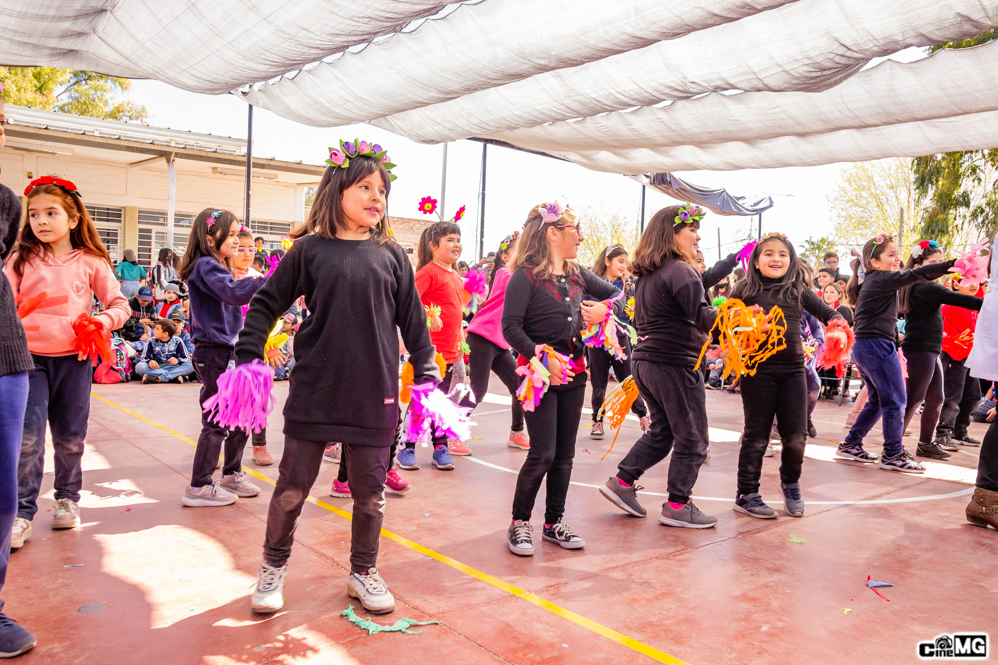 IMG 6462 Web — Postimages