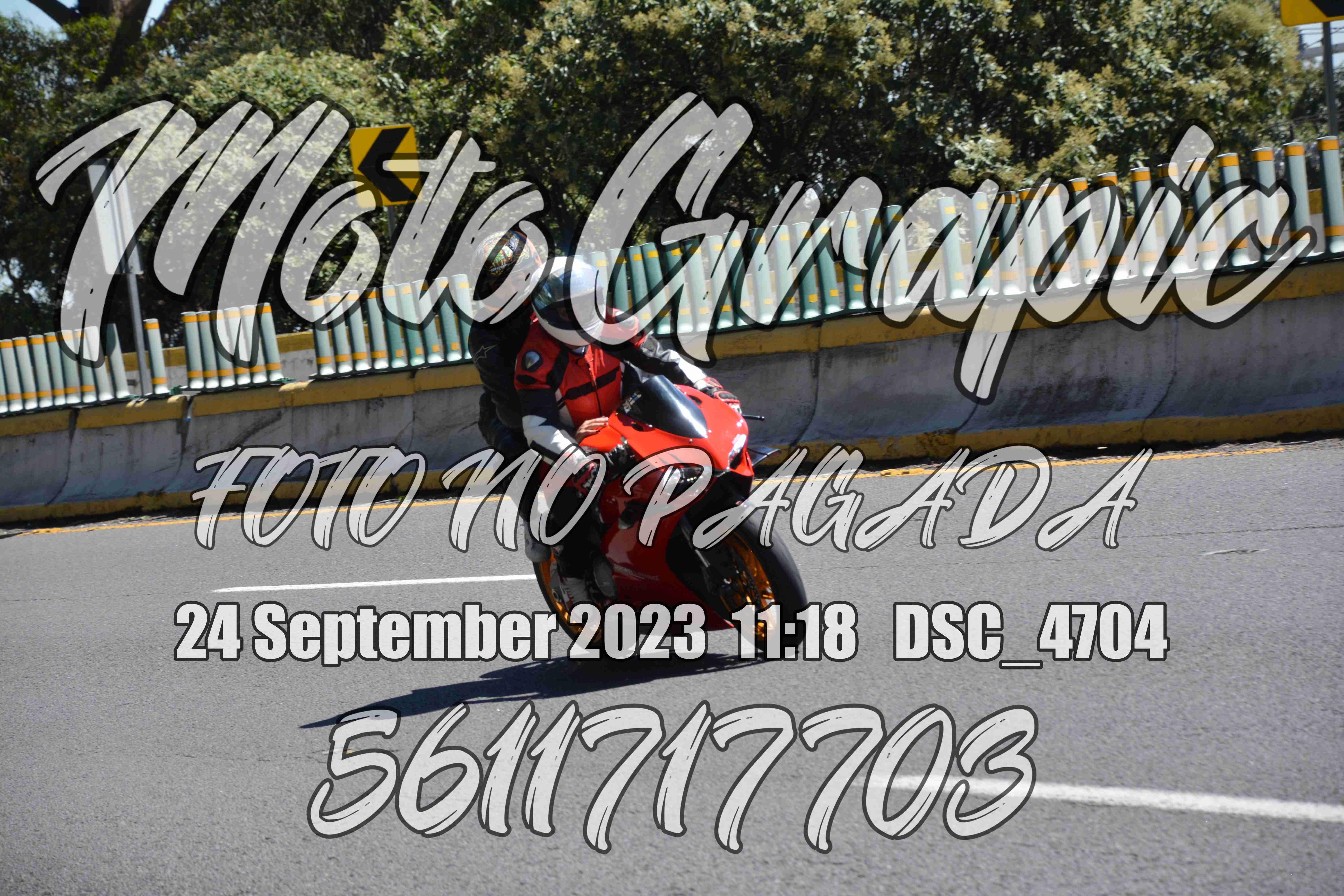 motgr DSC 4704 — Postimages