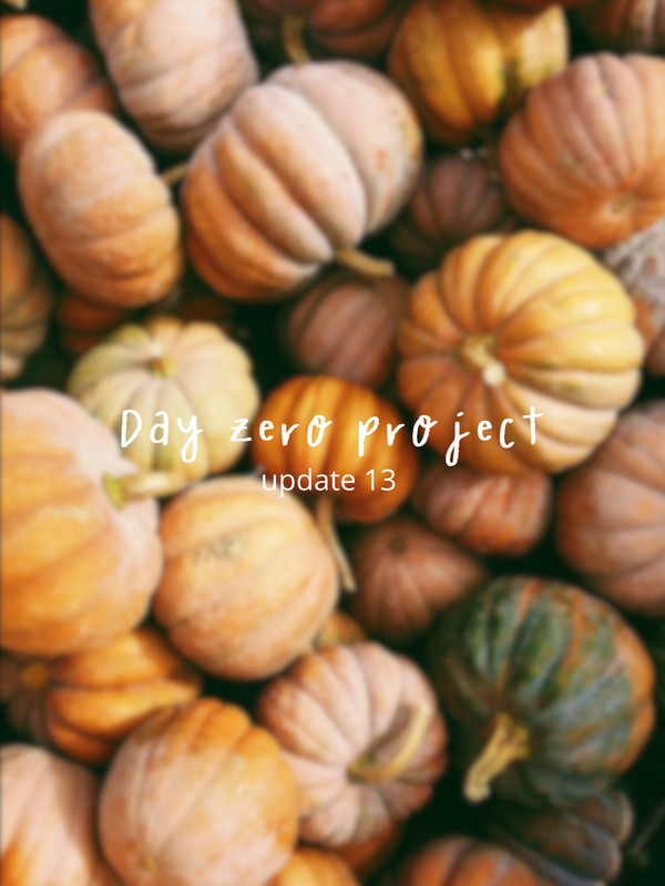 Day Zero Project · Update 13 – tussenmarsenjupiter