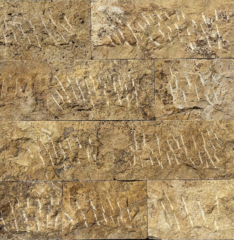 الحجر الأردني | حجر طبيعي وواجهات فاخرة في السعودية والخليج