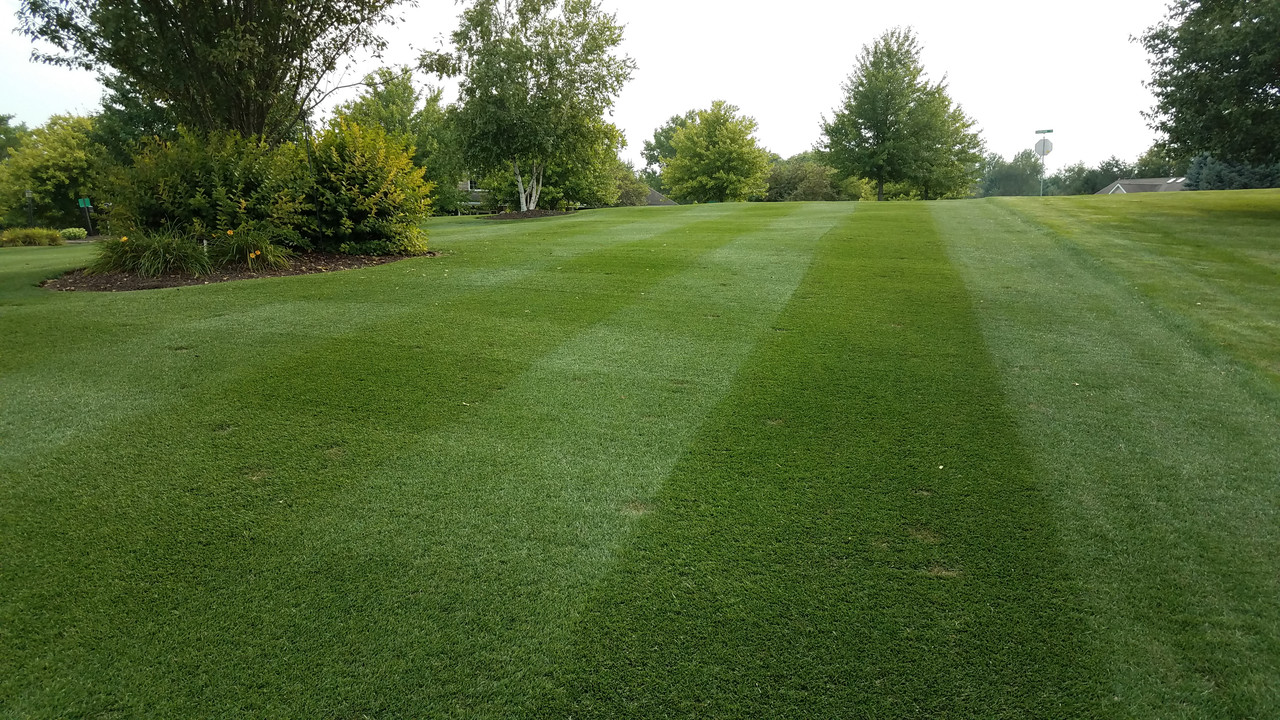 20180819 173551 — Postimages