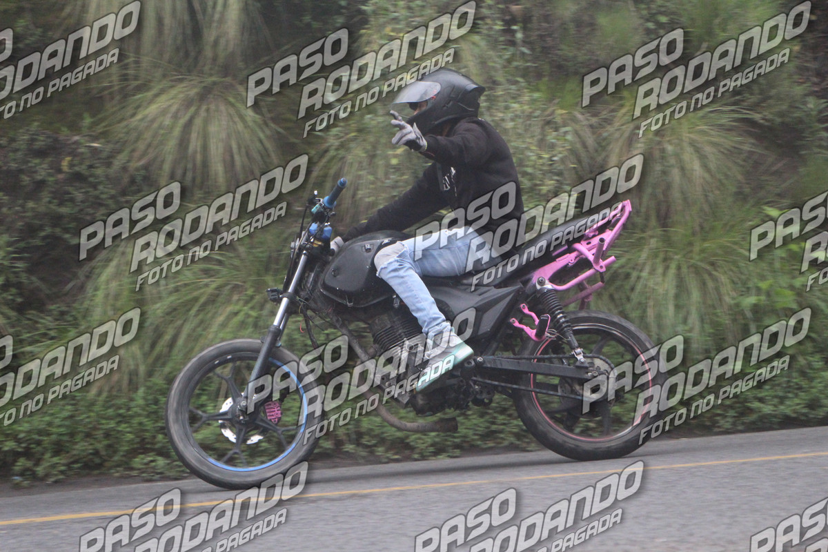 IMG 1802 wm 63566 watermarked — Postimages