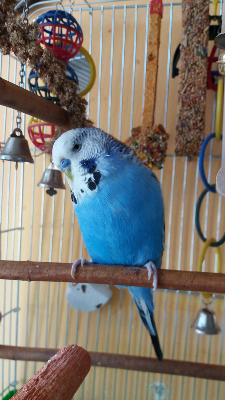 65874238 2535285976491482 7171818162743148544 n — Postimages