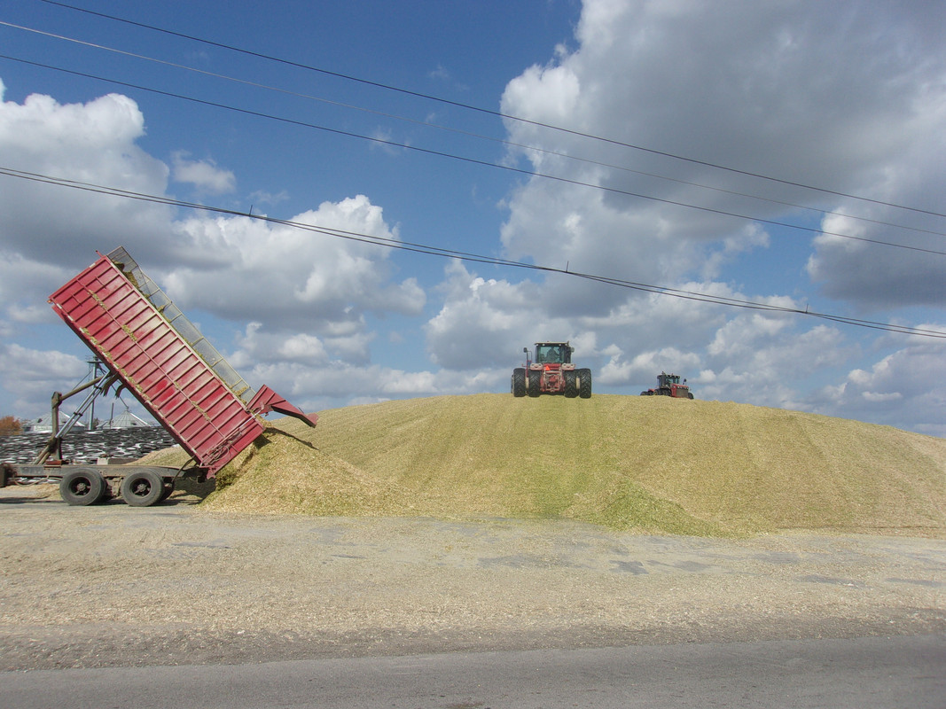 Grain pile — Postimages