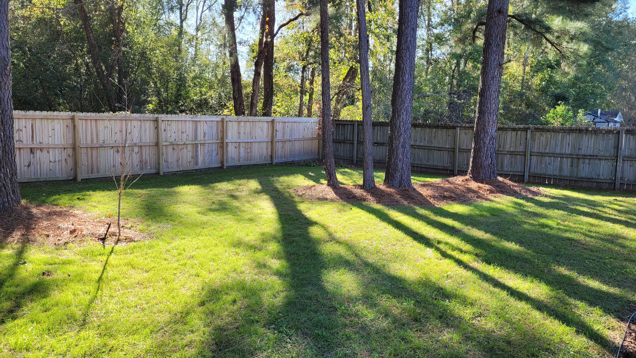 Taking care of TTF in a Southern winter? | Lawn Care Forum