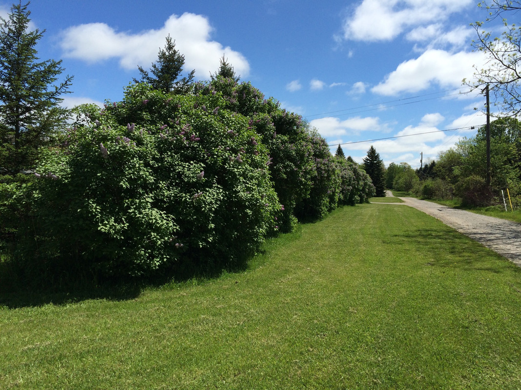 FDD5 FFBC 2 A2 F 4 ADC 850 E B274 A747 D32 E — Postimages