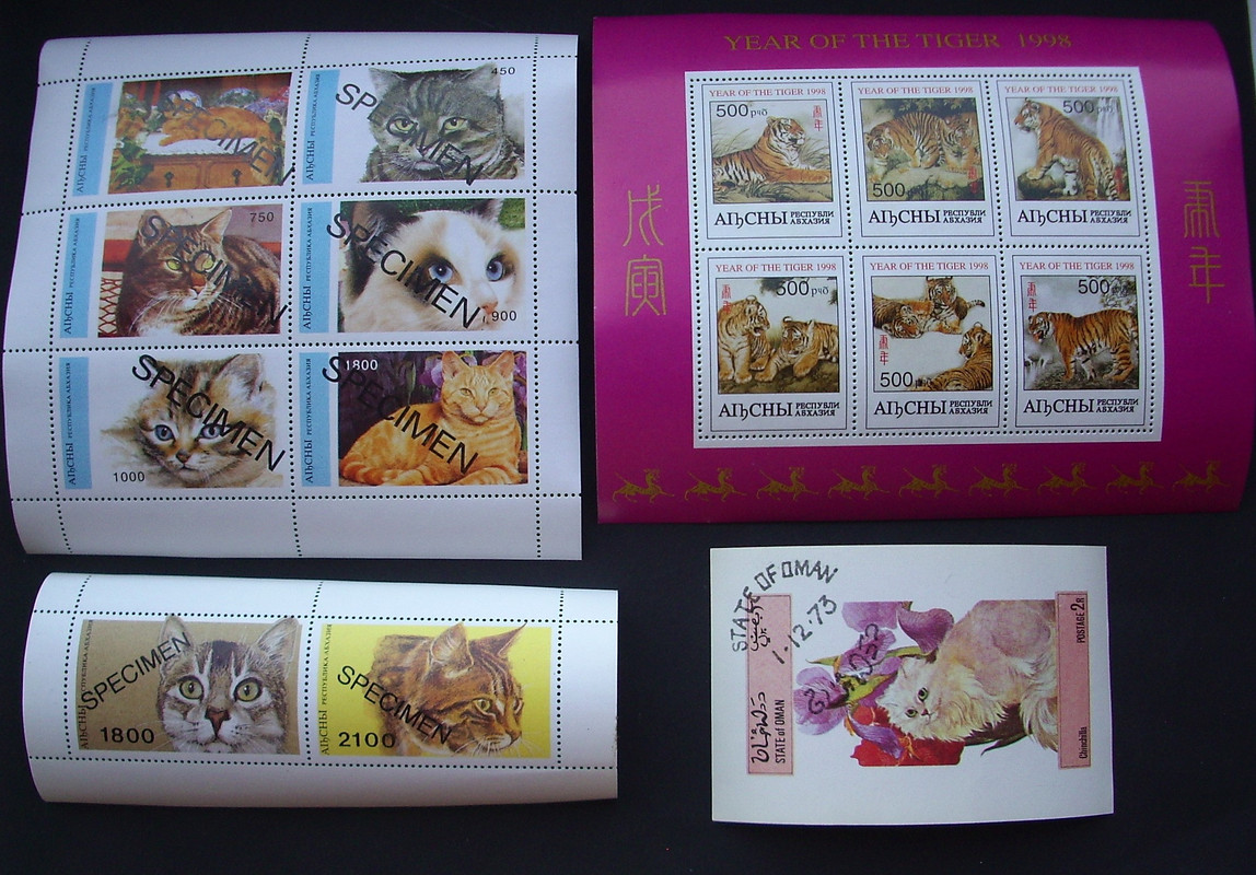 IMG 7927 — Postimages