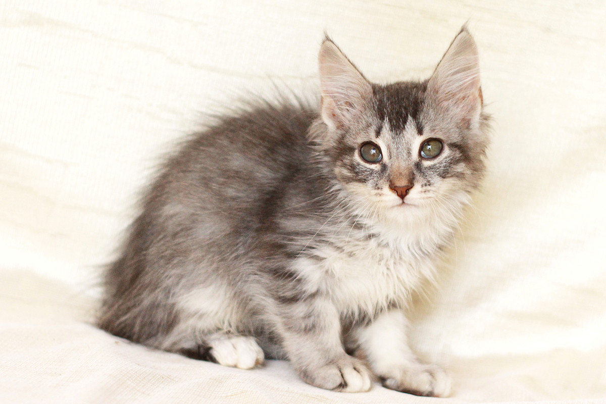 IMG 3130 — Postimages