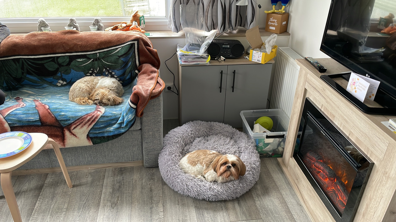 97 C94 D74 EDE9 4 C18 8088 340 D255 A32 FE — Postimages