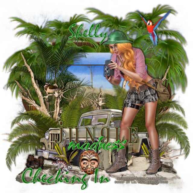 shelly template 1 zpsithtx0qu — Postimages