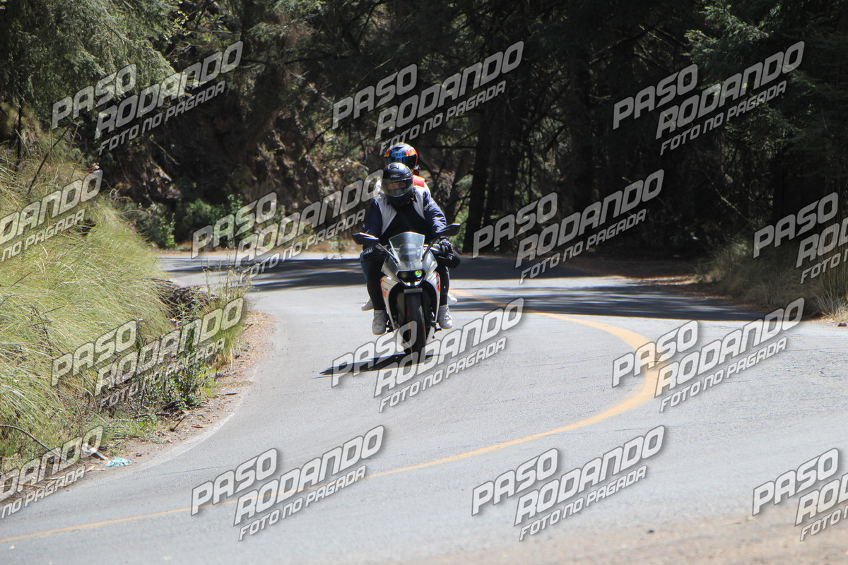 IMG 2114 wm 164569 5 watermarked — Postimages