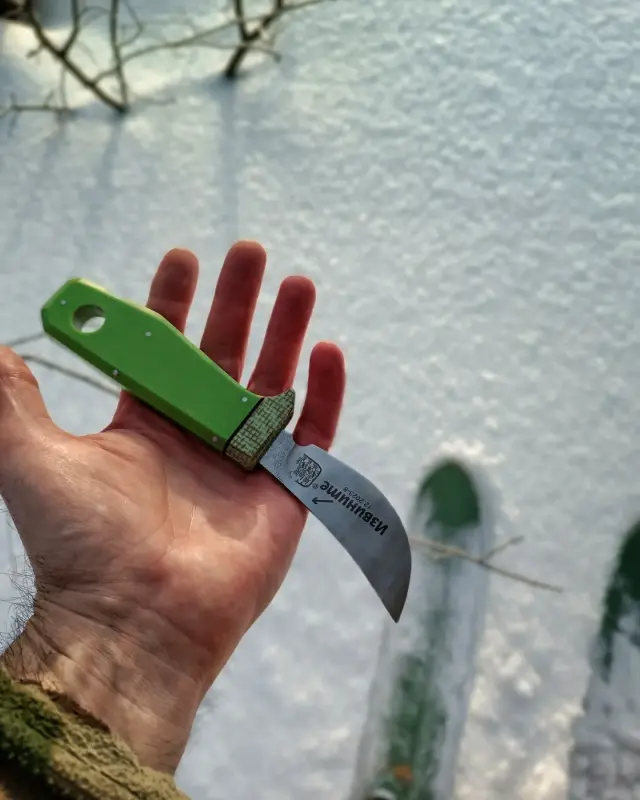 IMG 20231217 204733 783 — Postimages