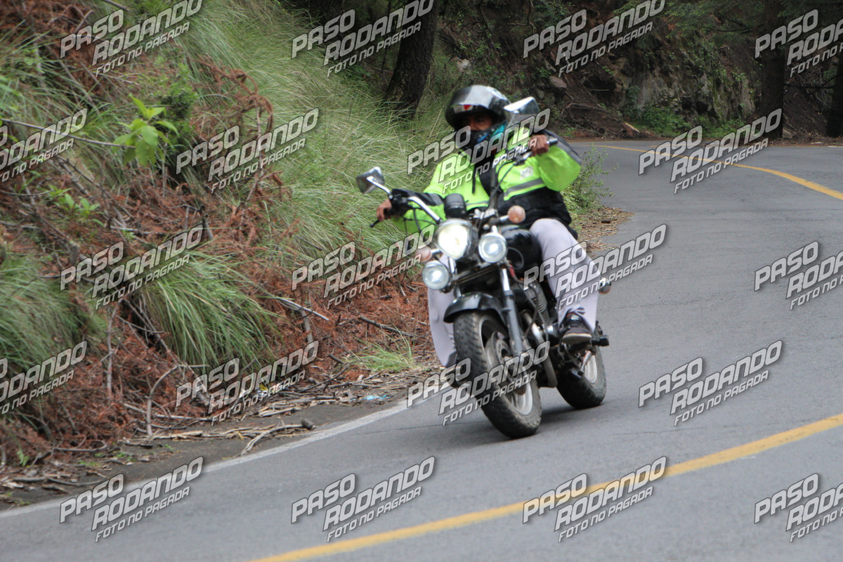 IMG 8399 wm 2139795 1 watermarked — Postimages