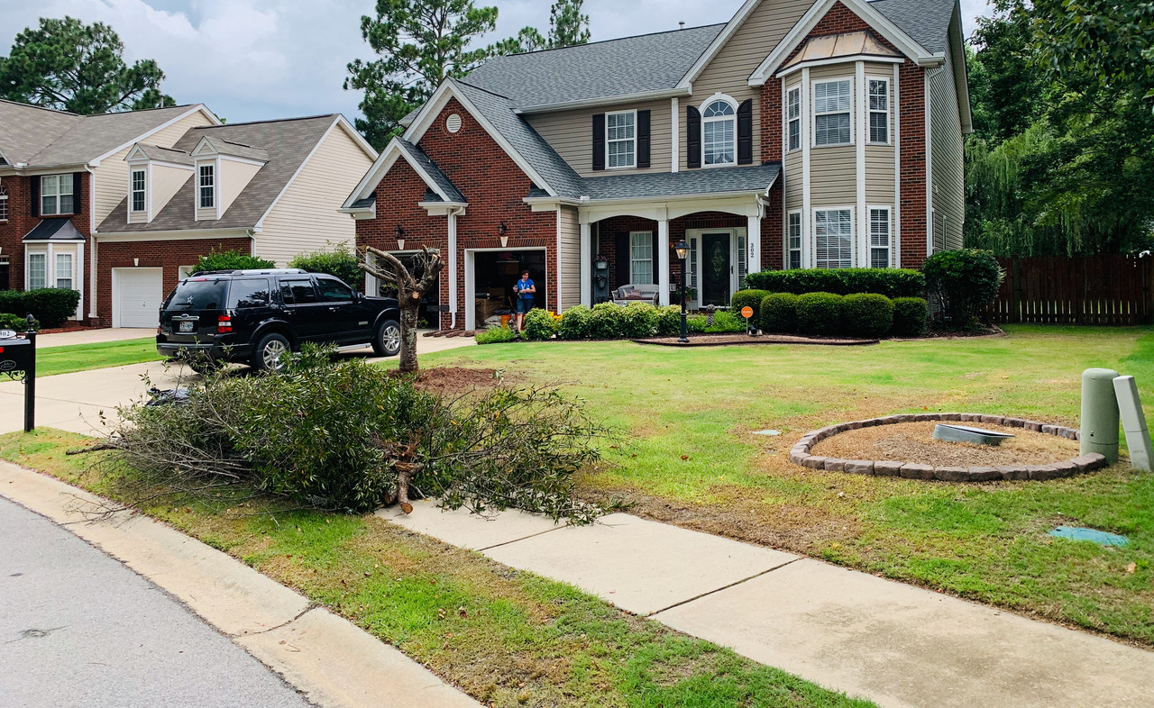 91 BC3 FCB 26 B6 4 AA2 BF0 F C81 E774 A1 E6 E — Postimages