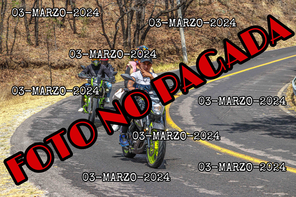 Album — Postimages