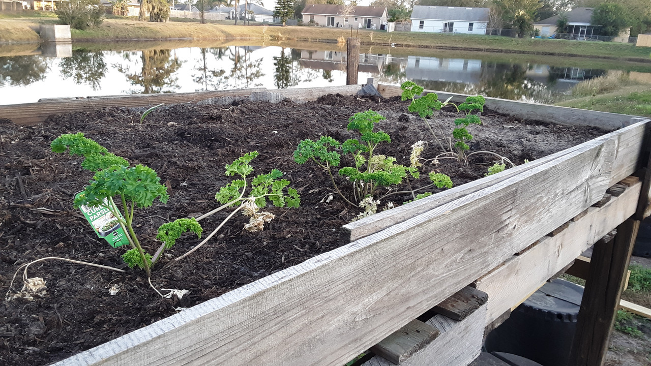 20210204 173632 — Postimages