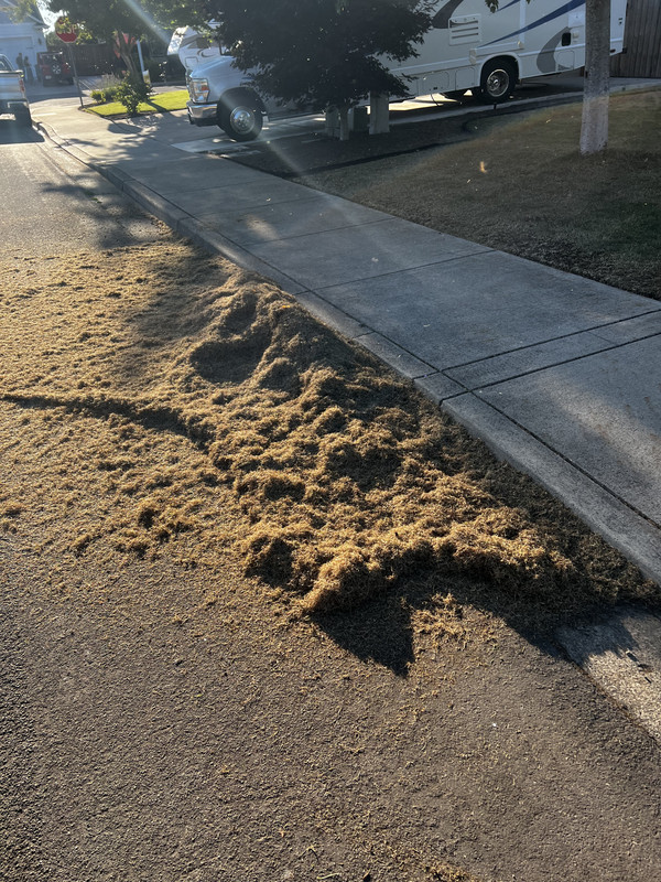 645 B7 A79 CB02 4023 BB7 E 52 B7835 A4 FEE — Postimages