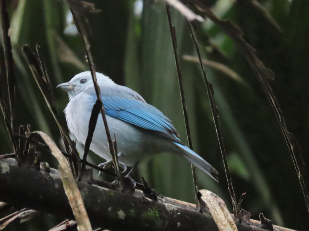 IMG 6196 — Postimages