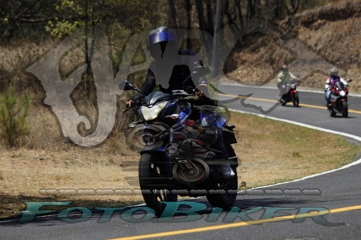 MG 0110 — Postimages