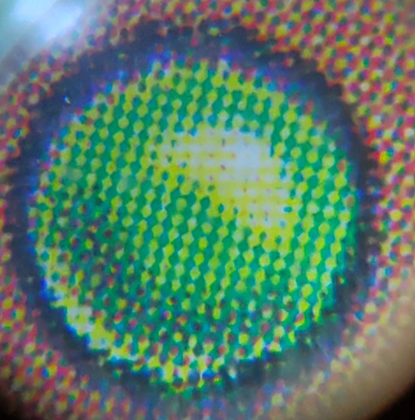 DSG(Diamond Service Grading) graded fake card. : r/mtgfinance