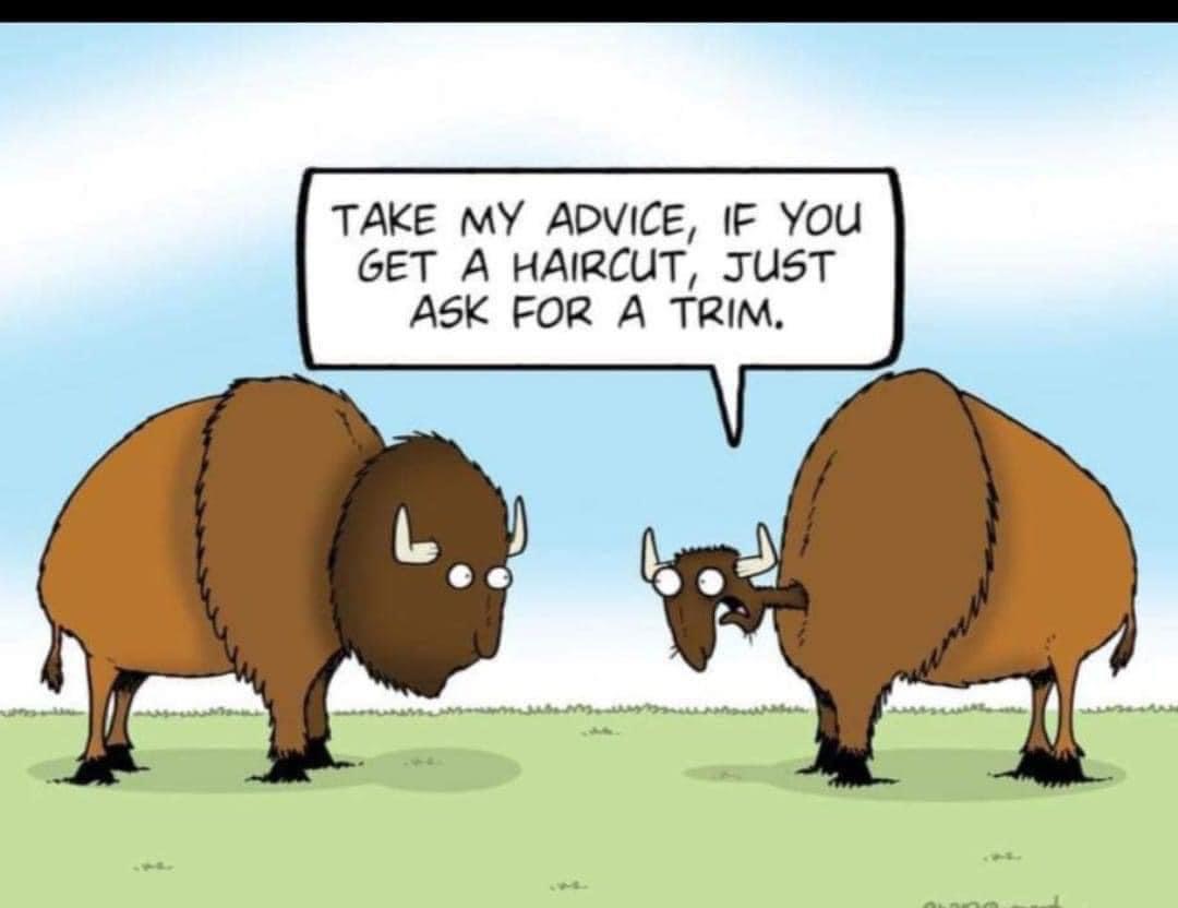 IMG 1865 — Postimages