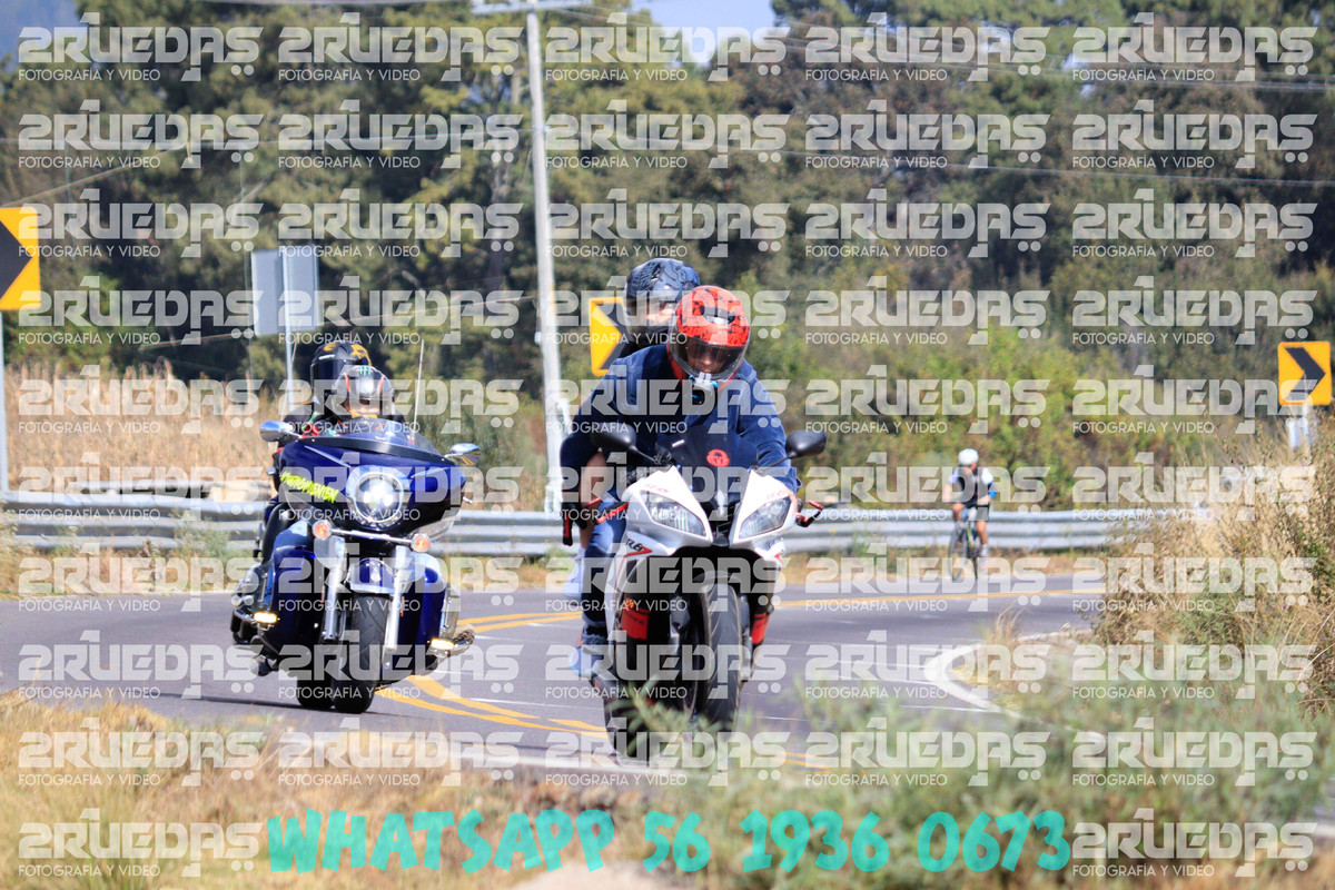 MG 0201 — Postimages