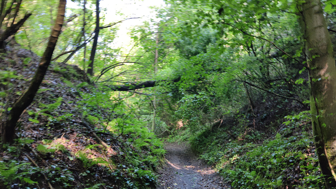 IMG 20220526 083139 — Postimages