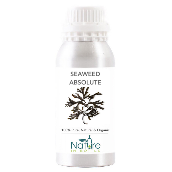 Seaweed Absolute Organic - Fucus vesiculosus Essential Oil