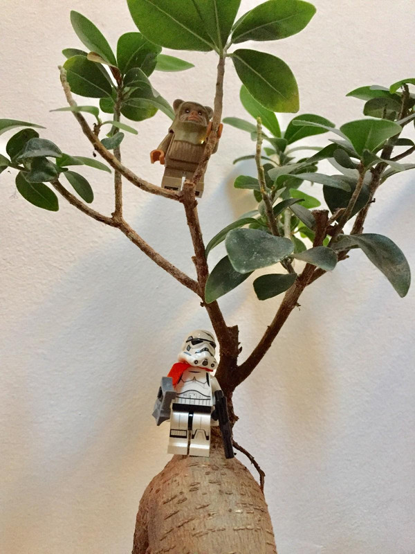 00 C3515 E 4258 42 D8 B5 D8 B6 E63 F1 DA9 A2 — Postimages