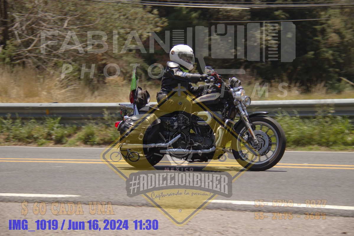 IMG 1019 — Postimages