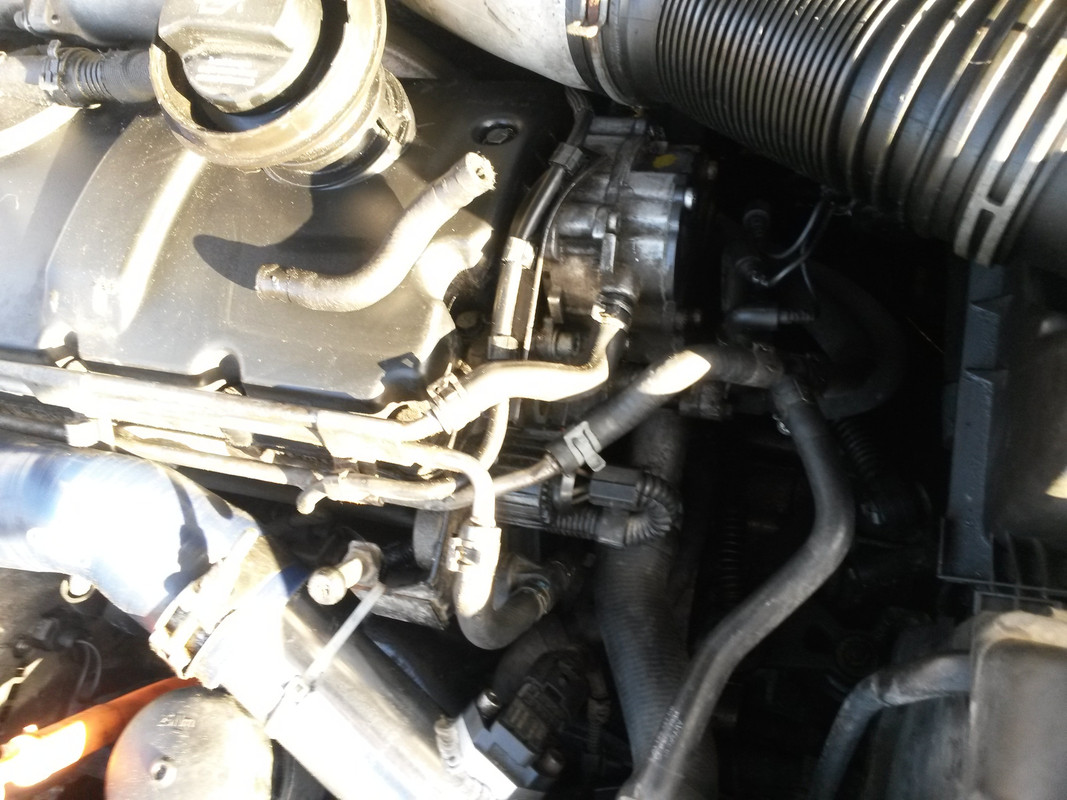 2016 01 31 13 20 04 — Postimages