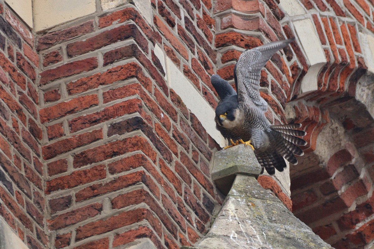 E13 C8 B48 CE4 F 4530 B4 B7 D90 FB139994 F — Postimages