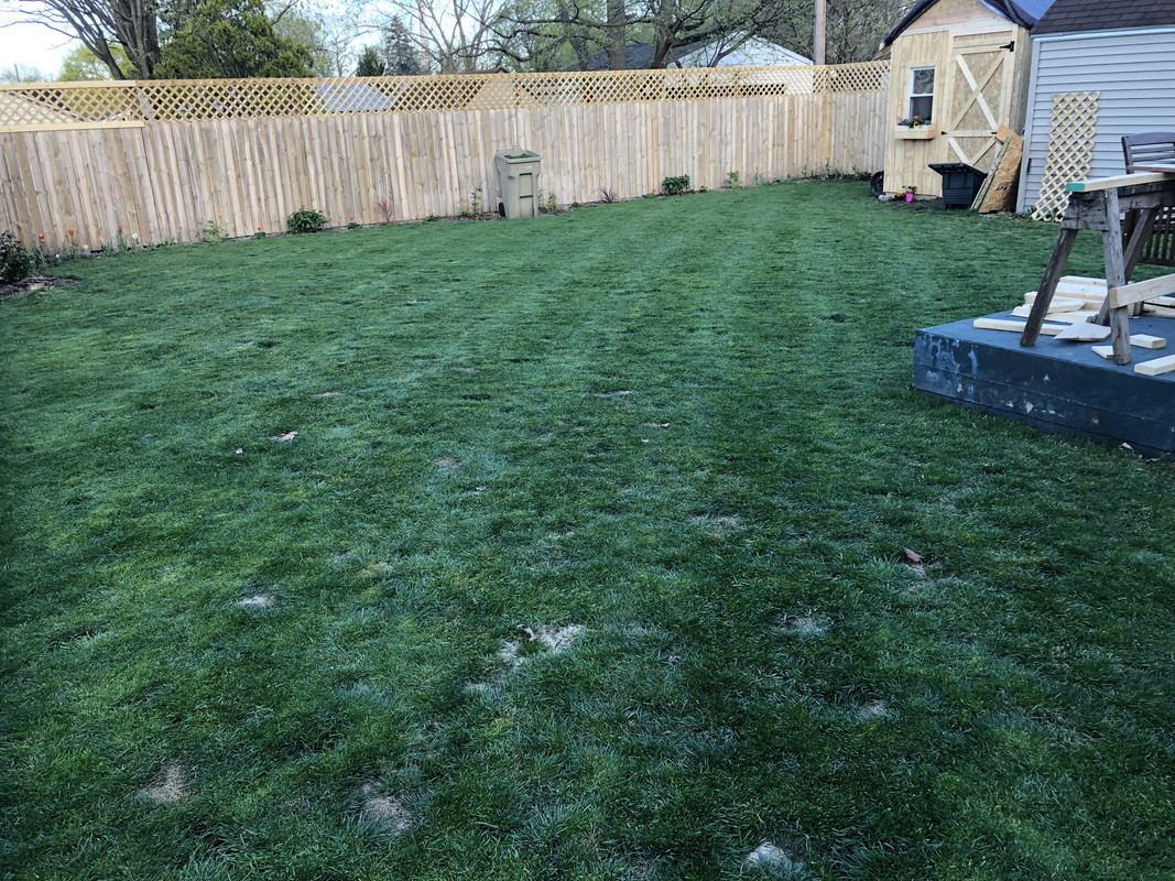 IMG 4166 copy — Postimages