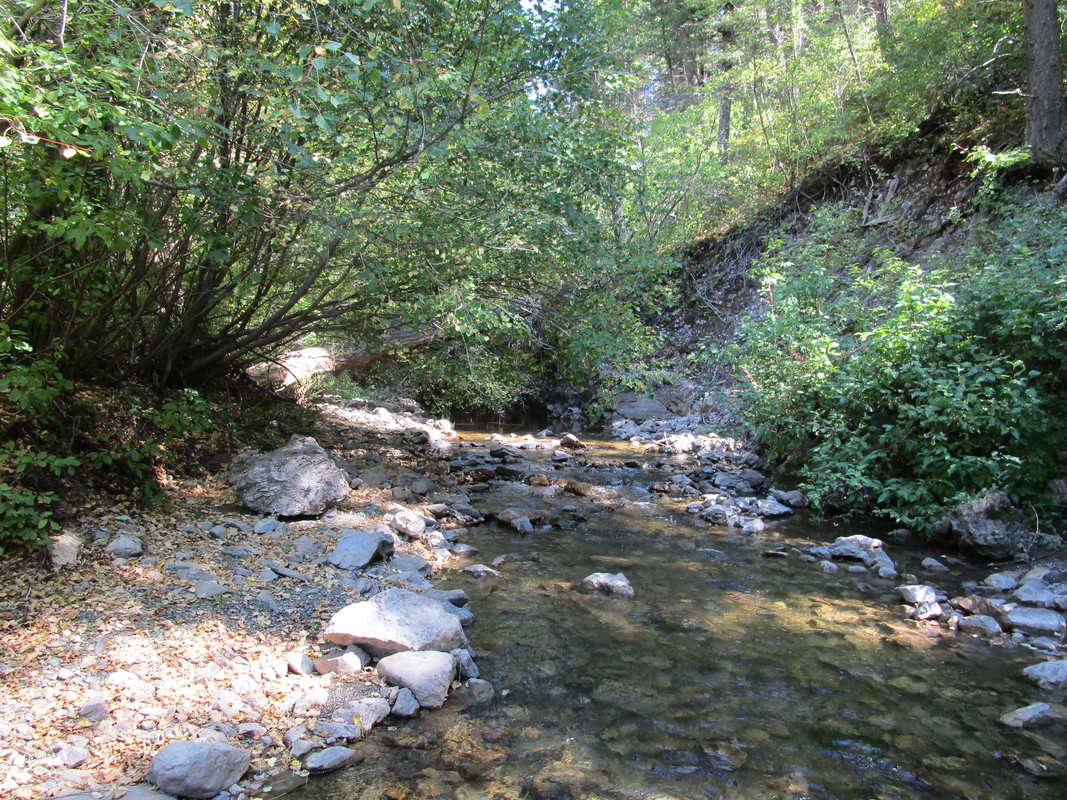 IMG 0175 — Postimages