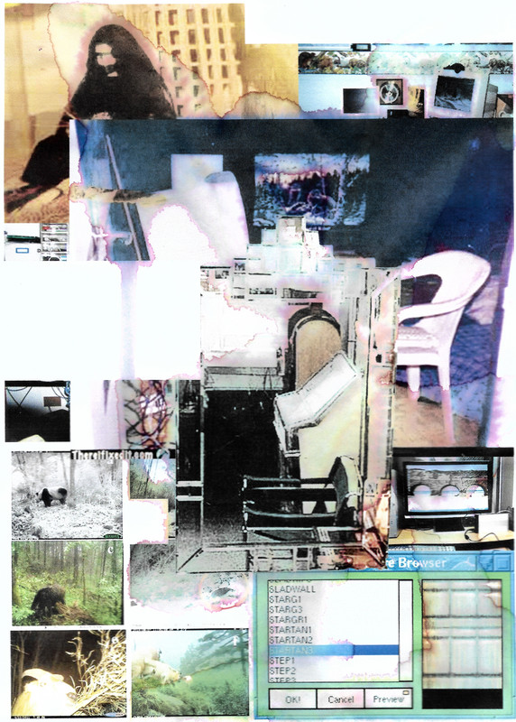 Image (273) — Postimages