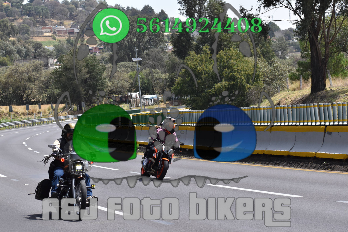 AVQ 0032 — Postimages