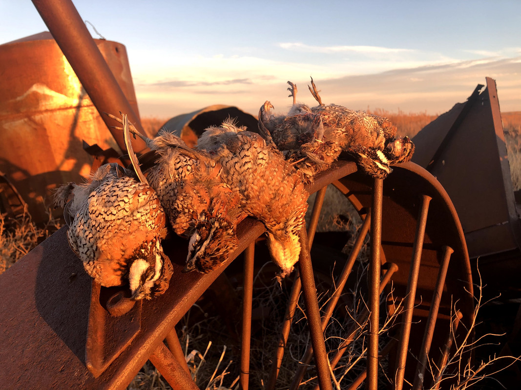 IMG 2173 — Postimages