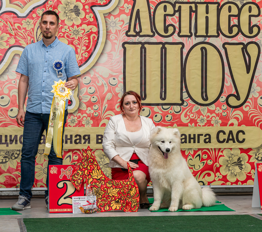 217 CR2 — Postimages