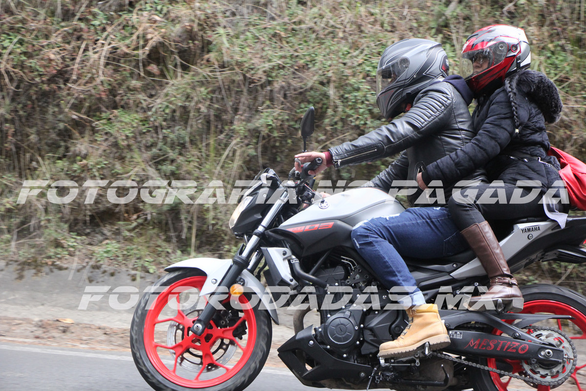 IMG 3676 — Postimages