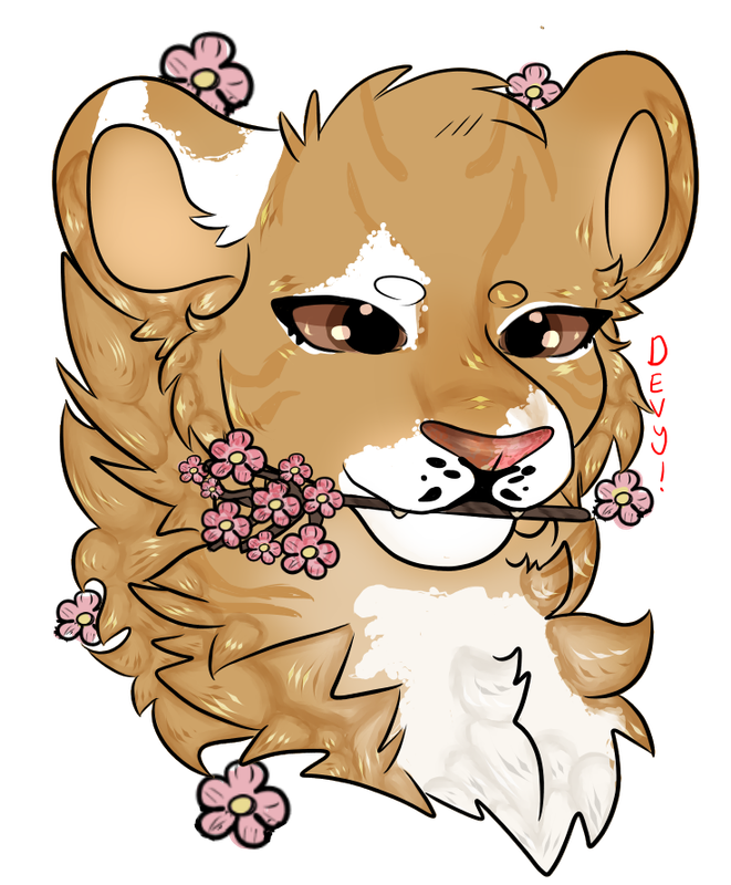 Devy's/Cupid's comms ! :|: Lioden